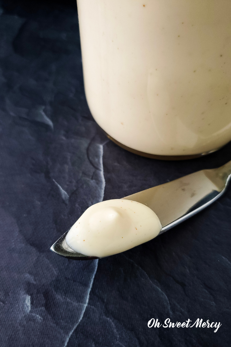 Copycat Miracle Whip | THM S, Sugar Free, Low Carb - Oh Sweet Mercy