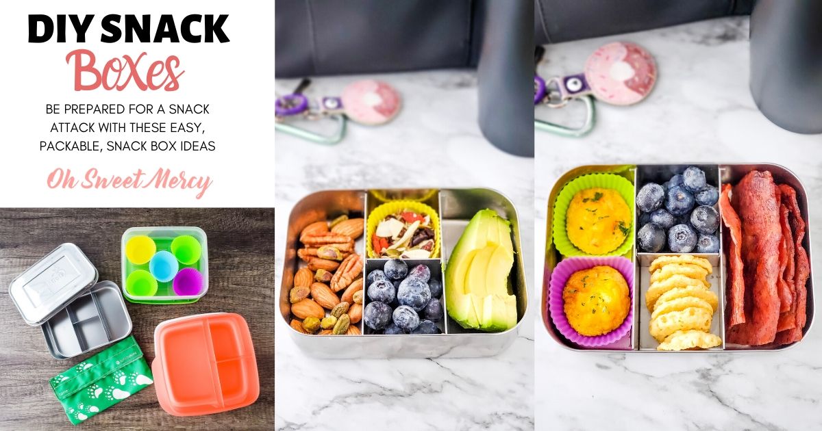 Easy Snack Box Ideas for the Trim Healthy Mama - Oh Sweet Mercy
